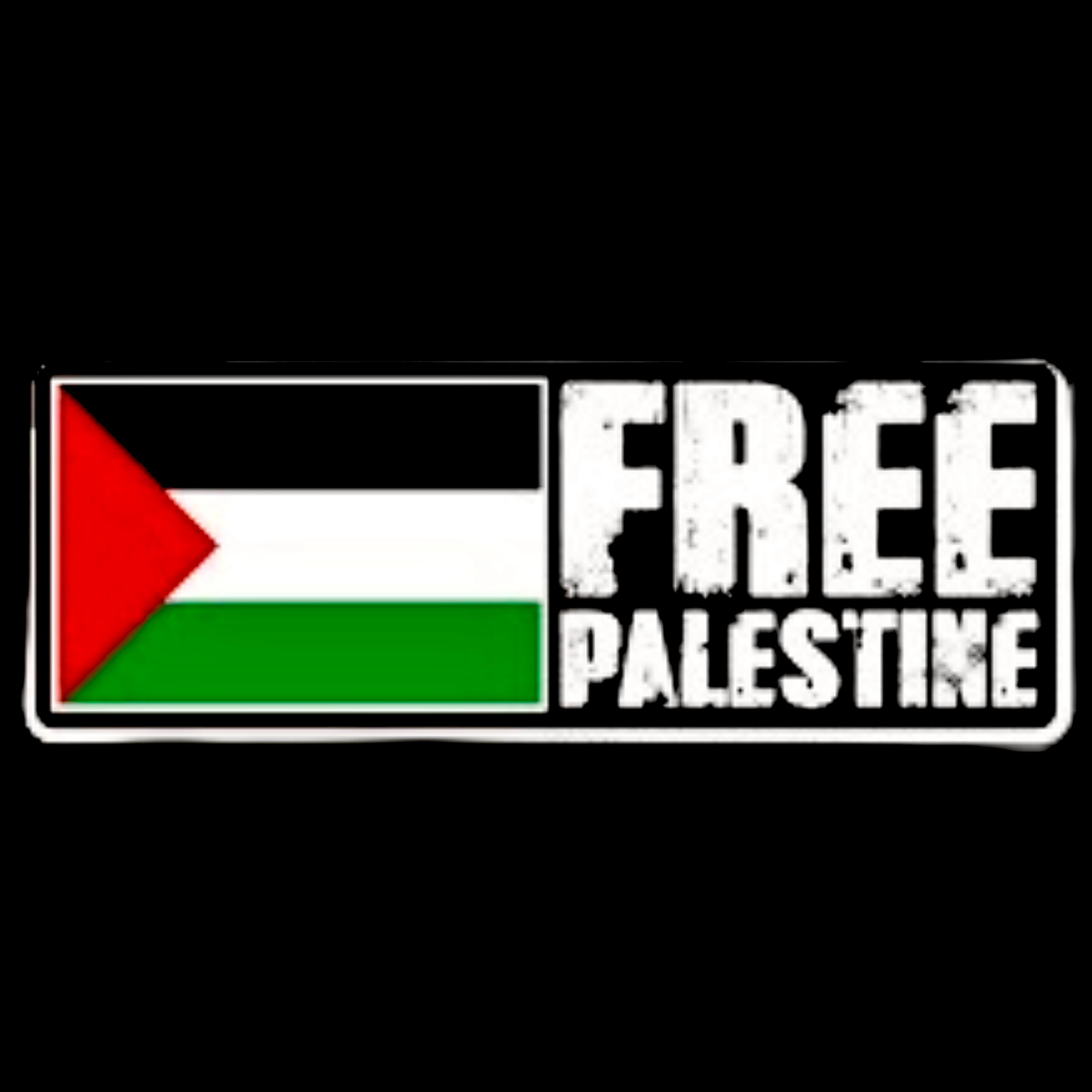 Palestine Sticker Free Palestine with Flag 10cm x 3.8cm